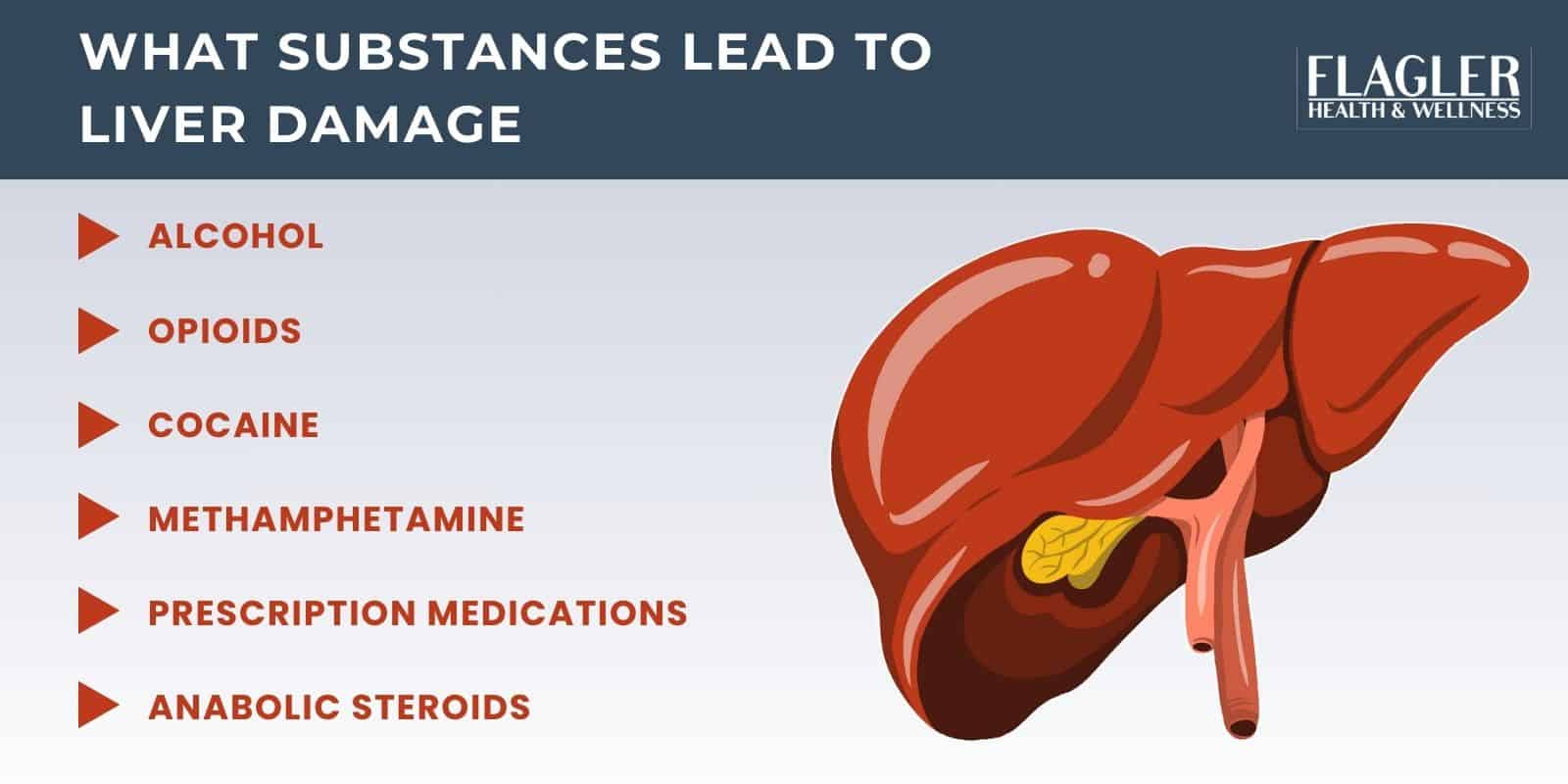 Effect of Substance Abuse on Liver Damage | Flagler Health And Wellness