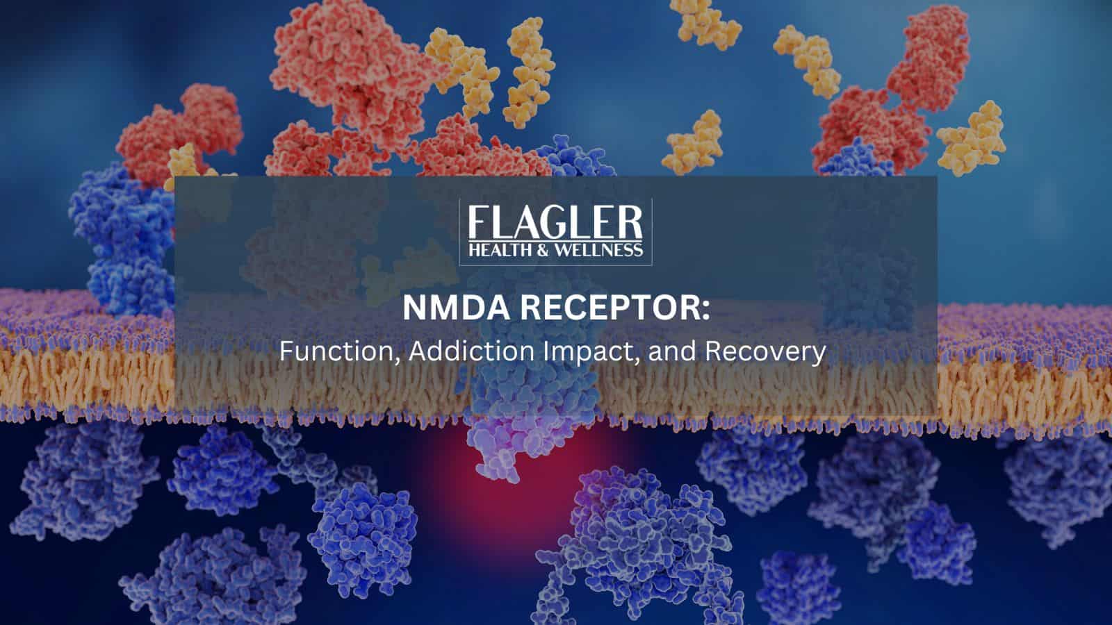 NMDA Receptor: Function, Addiction Impact, and Recovery